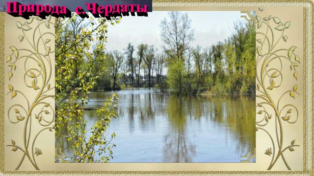 Природа села Чердаты