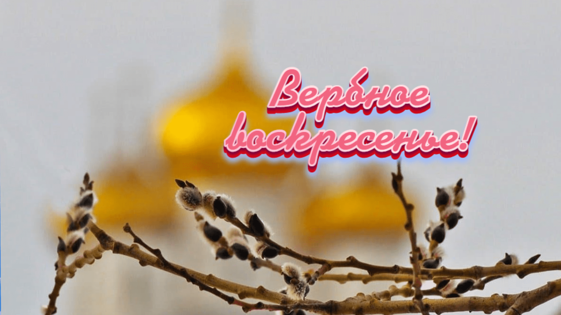 С  Вербным     воскресеньем! Красивая музыкальная открытка!