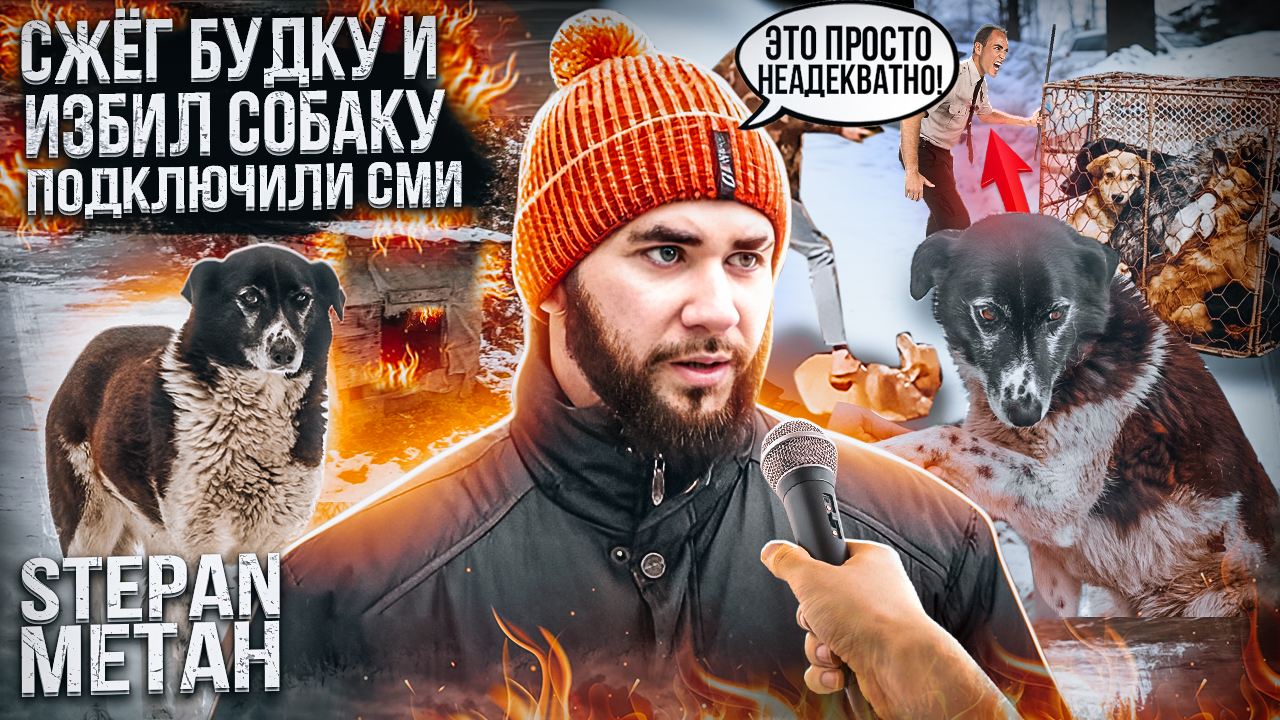 Предприниматель избил бездомную собаку