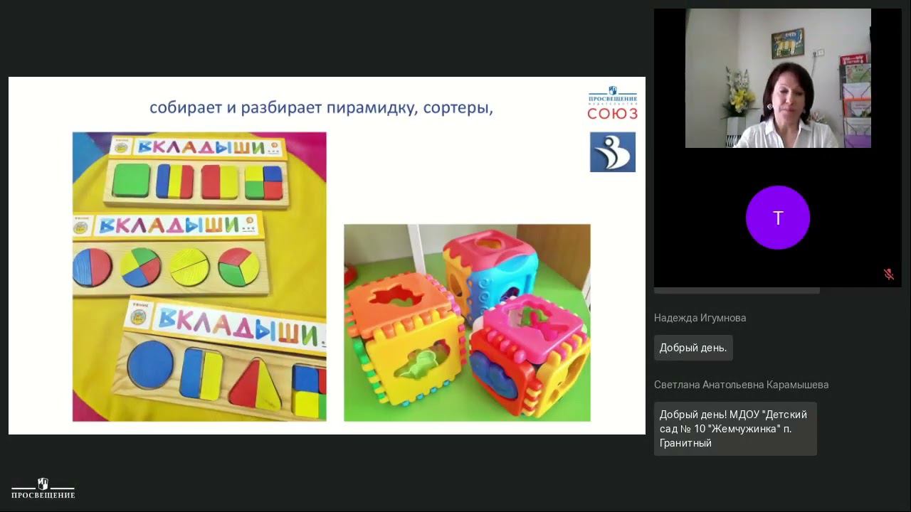 Организация РППС для развития и обогащения игровой деятельности детей поддержки детской инициативы