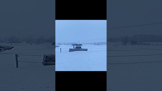 экскурсия танки и техника ВОВ . ПАРК СТАЛЬНОЙ ДЕСАНТ КРАСНОЕ СЕЛО СПБ ПИТЕР САНКТ-ПЕТЕРБУРГ ЗИМА