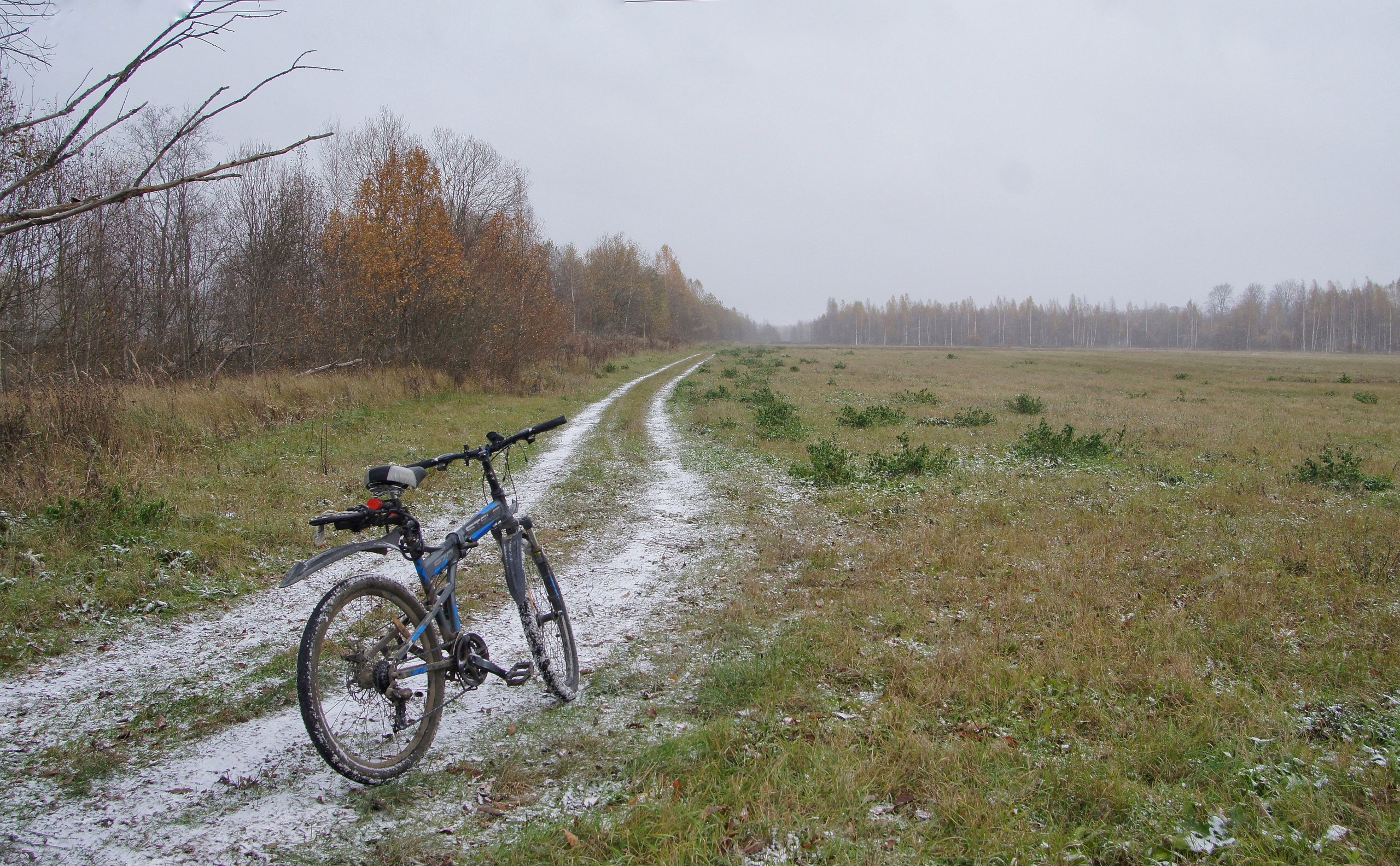 "ПРОШЛО ЕЩЁ 4 МЕСЯЦА"... (Фото Владимира Мастера (Вел. Новгород), музыка Астора Пьяццолы)