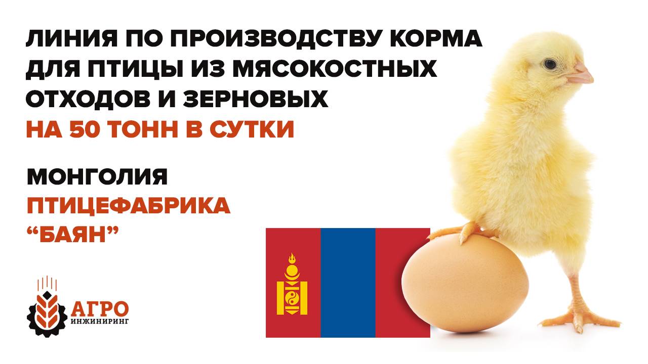 Птицефабрика в Монголии. Установили комбикормовый завод с переработкой мясокостных отходов.