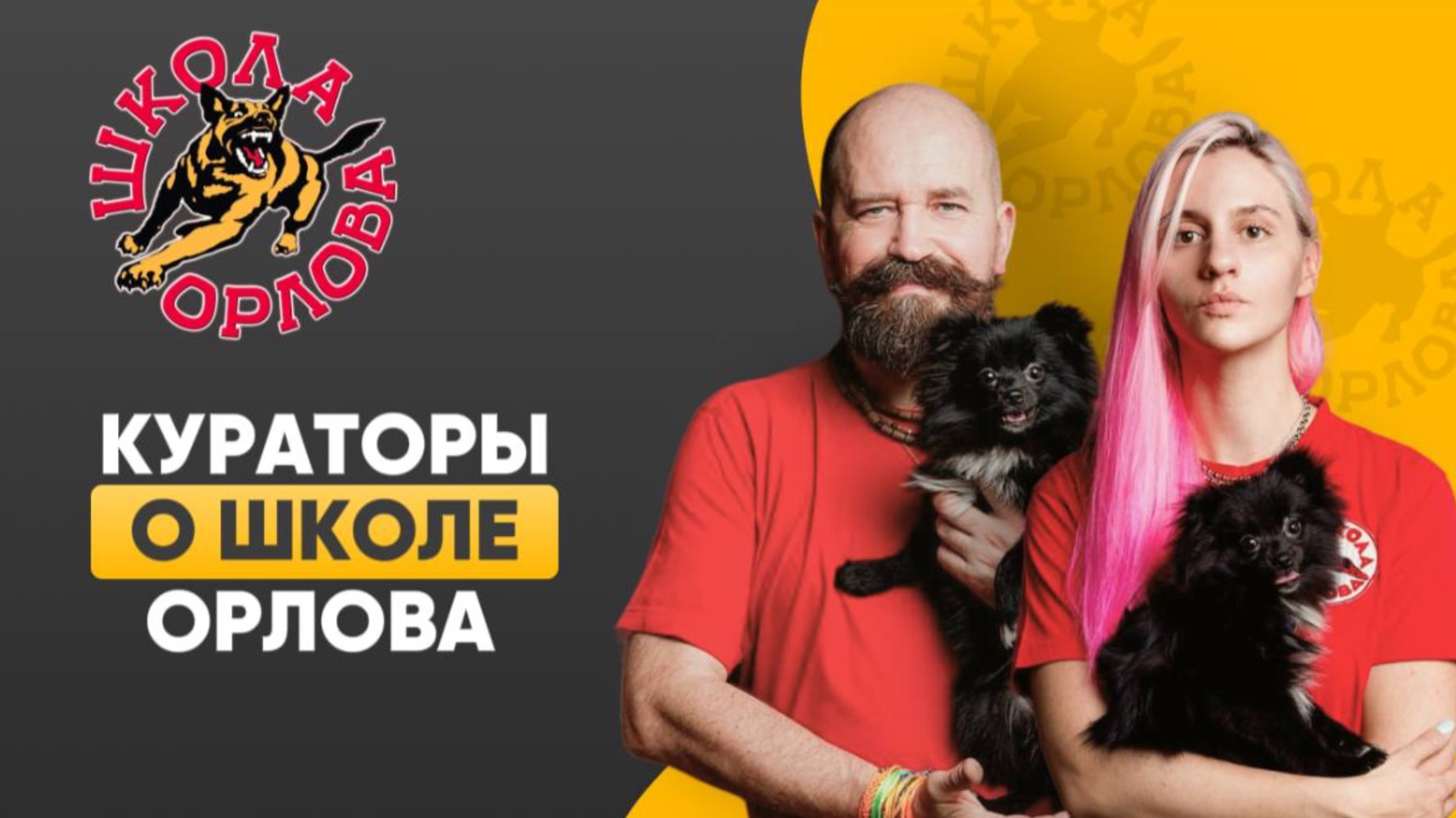 Кураторы о Школе Орлова