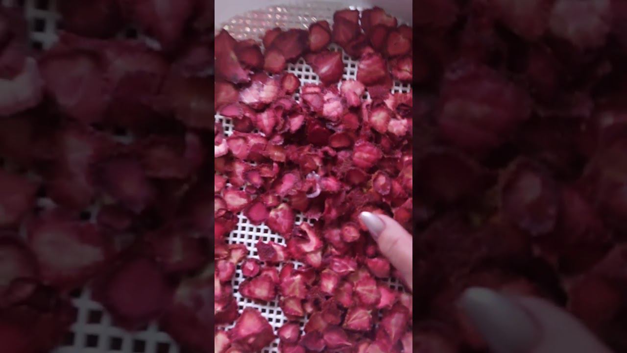 Сушка клубники 2023 . Shorts