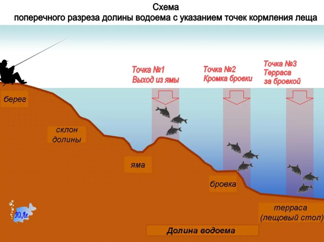 ЛЕЩ  ЗАШЁЛ  .  НАЧАЛАСЬ ЖАТВА . Ловля леща с берега на донки в мае .