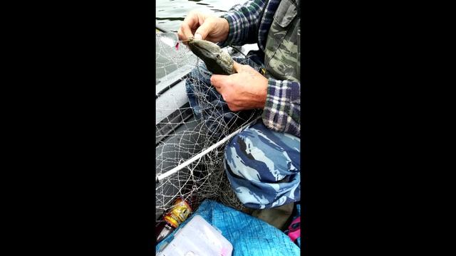 река Ангара, рыбалка, красивые места