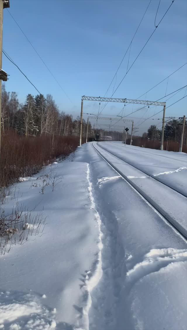 Мороз и солнце.... и снег #shorts