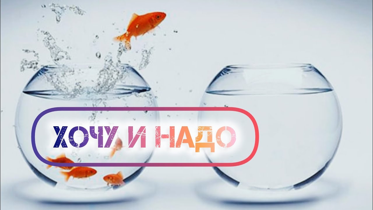 🆚 ХОЧУ И НАДО _ ВНУТРЕННИЙ РЕБЁНОК И ВНУТРЕННИЙ ВЗРОСЛЫЙ _ ПРОКРАСТИНАЦИЯ _ ЛЕНЬ