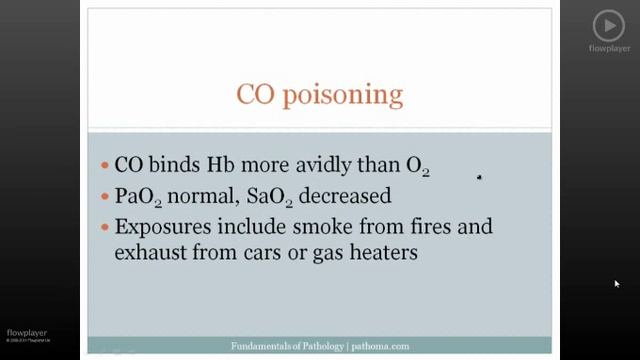 Pathoma USMLE - I ГЛАВА - 2.Повреждение клеток
