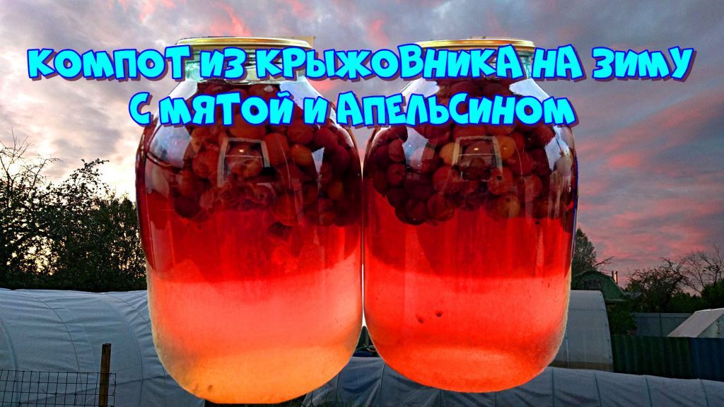 Компот из крыжовника на зиму с мятой и апельсином ?