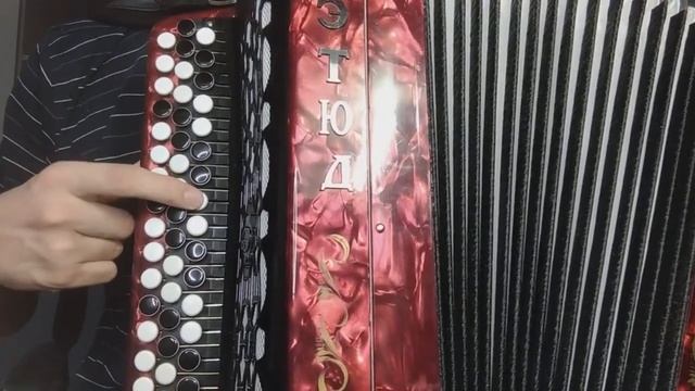 ОБЯЗАТЕЛЬНО К ПРОСМОТРУ Ты Пахнешь МЯТОЙ Обучение на БАЯНЕ