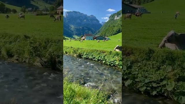 Природа не терпит пустоты.