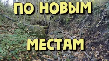 Разведка новых мест для КОПа. Поиск с металлоискателем