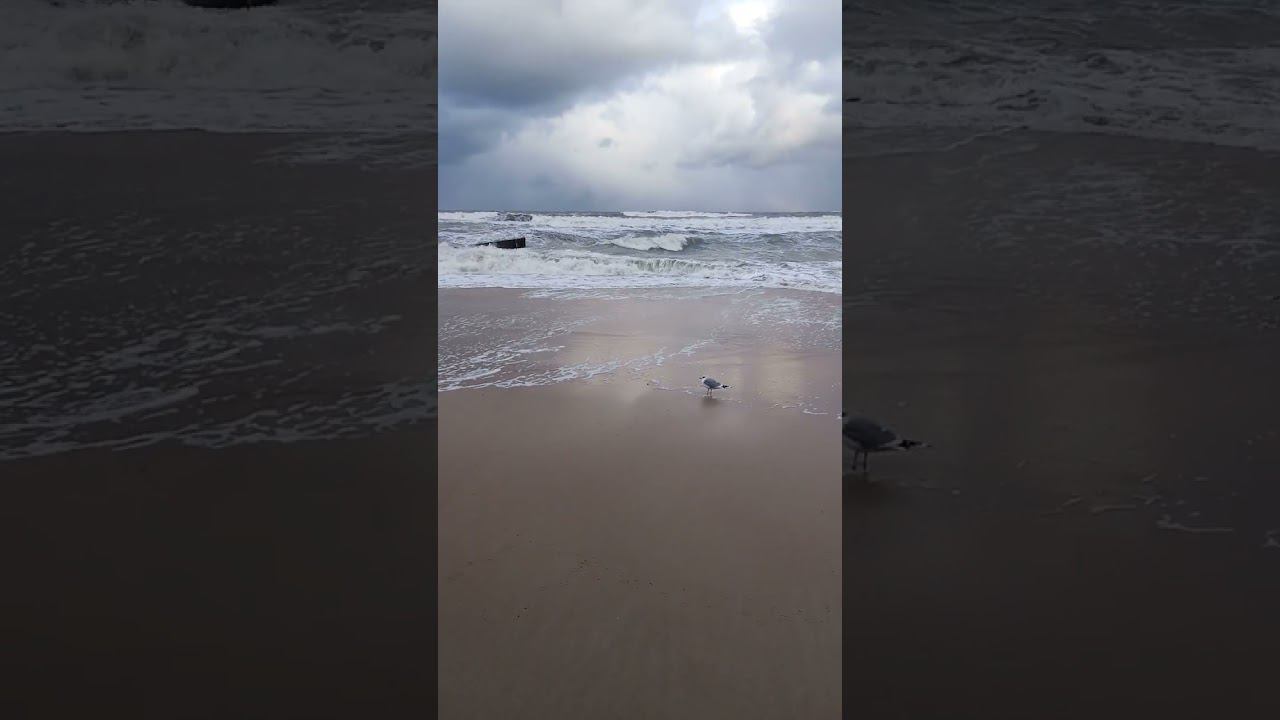 БАЛТИЙСКОЕ МОРЕ В ДЕКАБРЕ 3