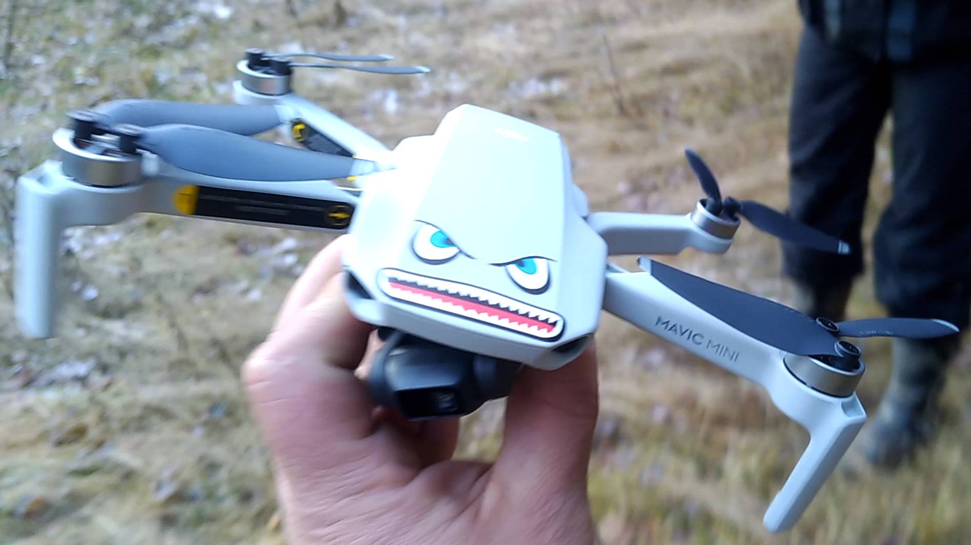 "СТРАННЫЙ ЛЕС" 2 (16 ноября 2020)