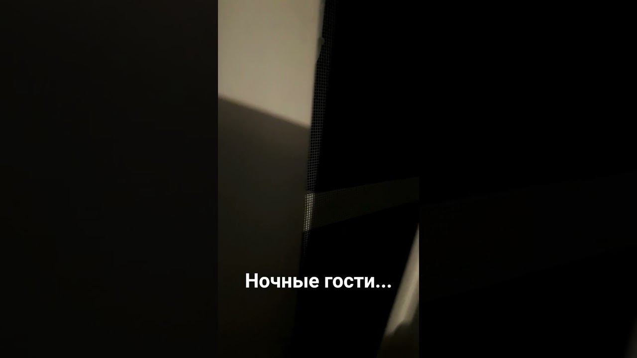 вой за окном, 11 октября 2023 г.