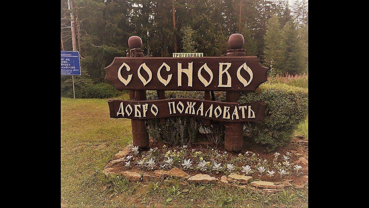 200 км на Shulz Boys Don’t Cry