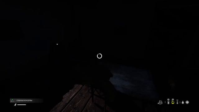 Святые в Черноруссии DAY Z на PS4