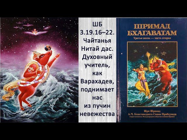 ШБ 3.19.16–22. Чайтанья Нитай д. Духовный учитель, как Варахадев, поднимает нас из пучин невежества