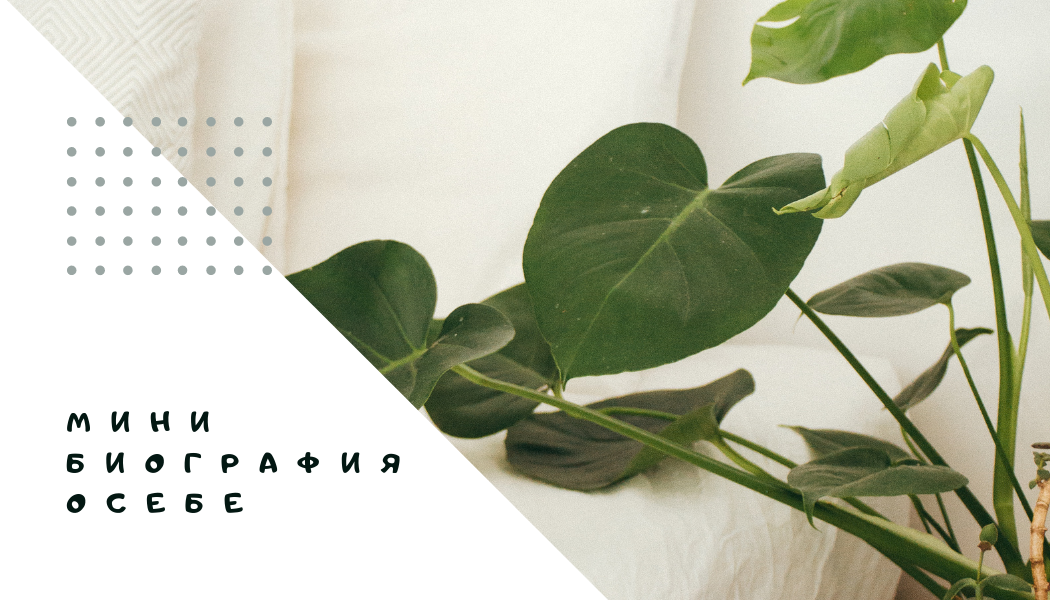 «Мини биография о себе»