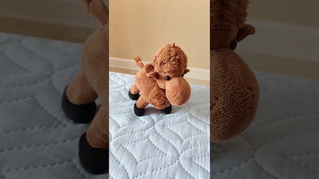 моё лицо в реальной жизни