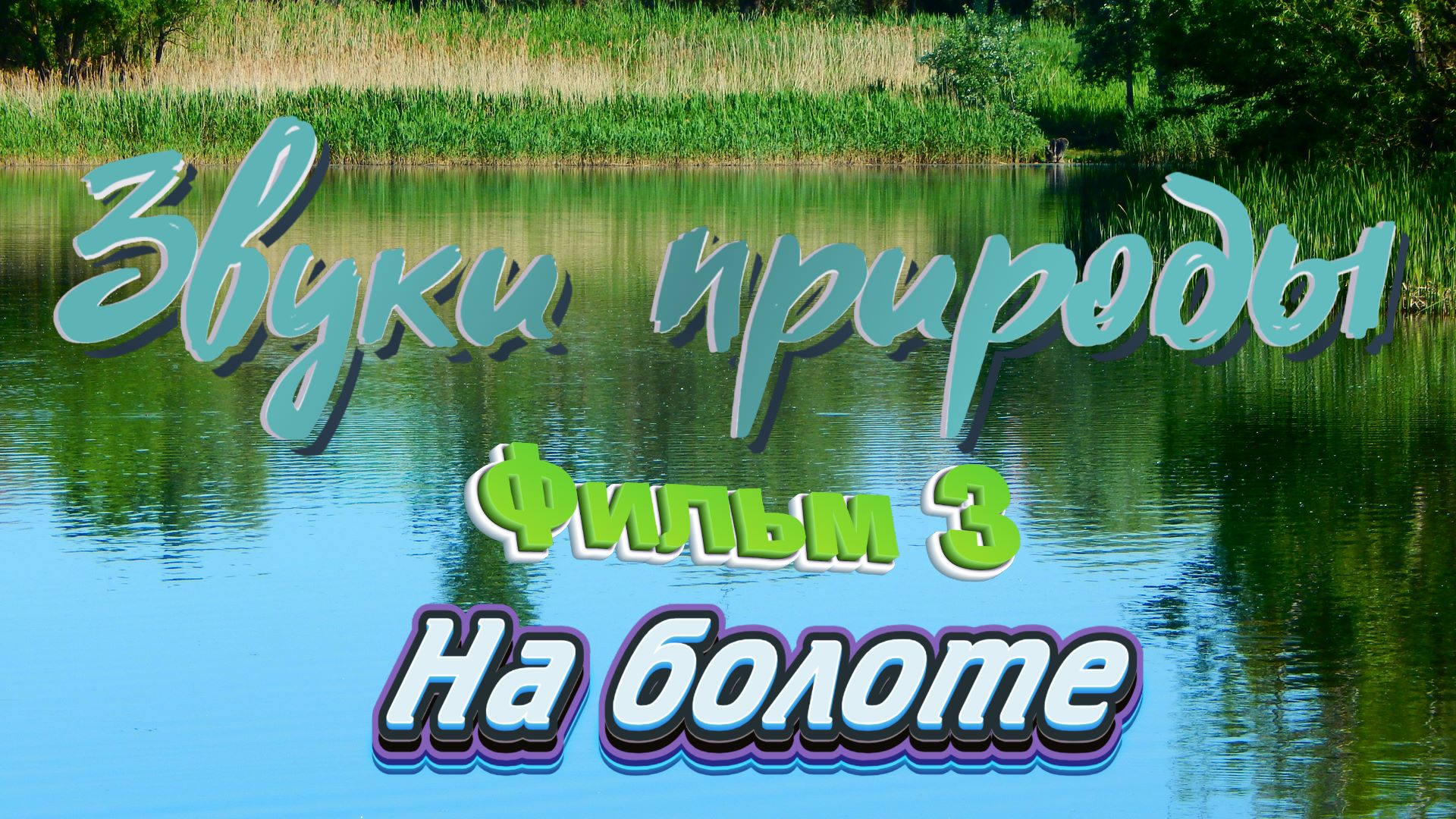 Звуки природы. Фильм 3. На болоте  Sounds of nature. Film 3. In the swamp
