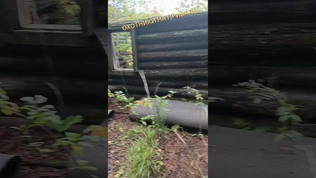 охотники на привале. эпизод-0