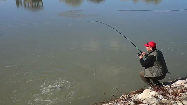 Шунтук.Трофейная форель 22год