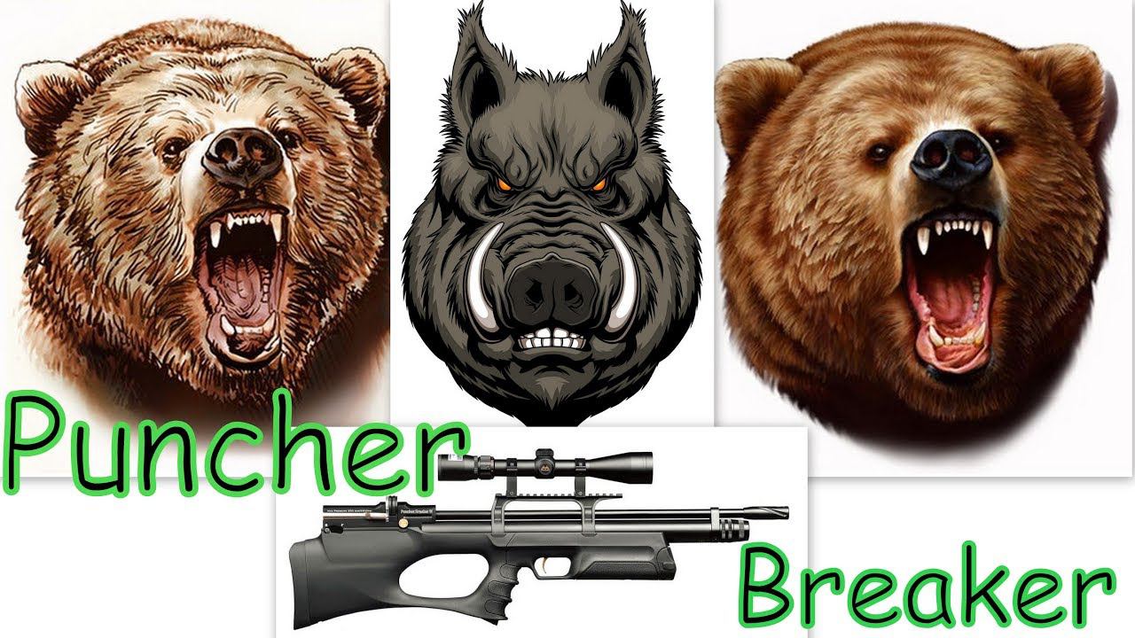 Часть1. Медвесвин против Kral PUNCHERA калибр 5.5