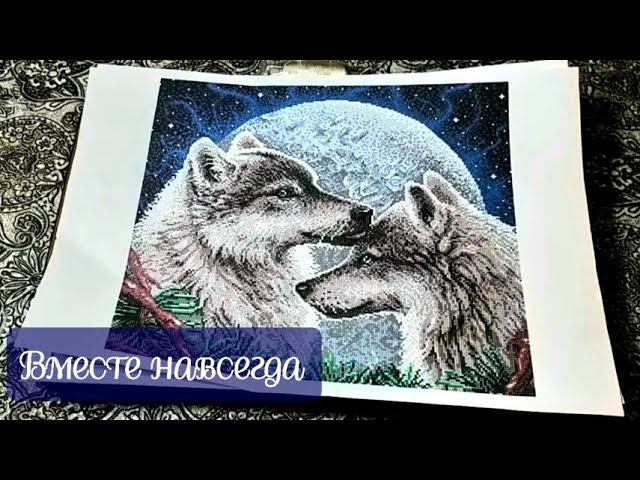 Вместе навсегда. Начало нового процесса.