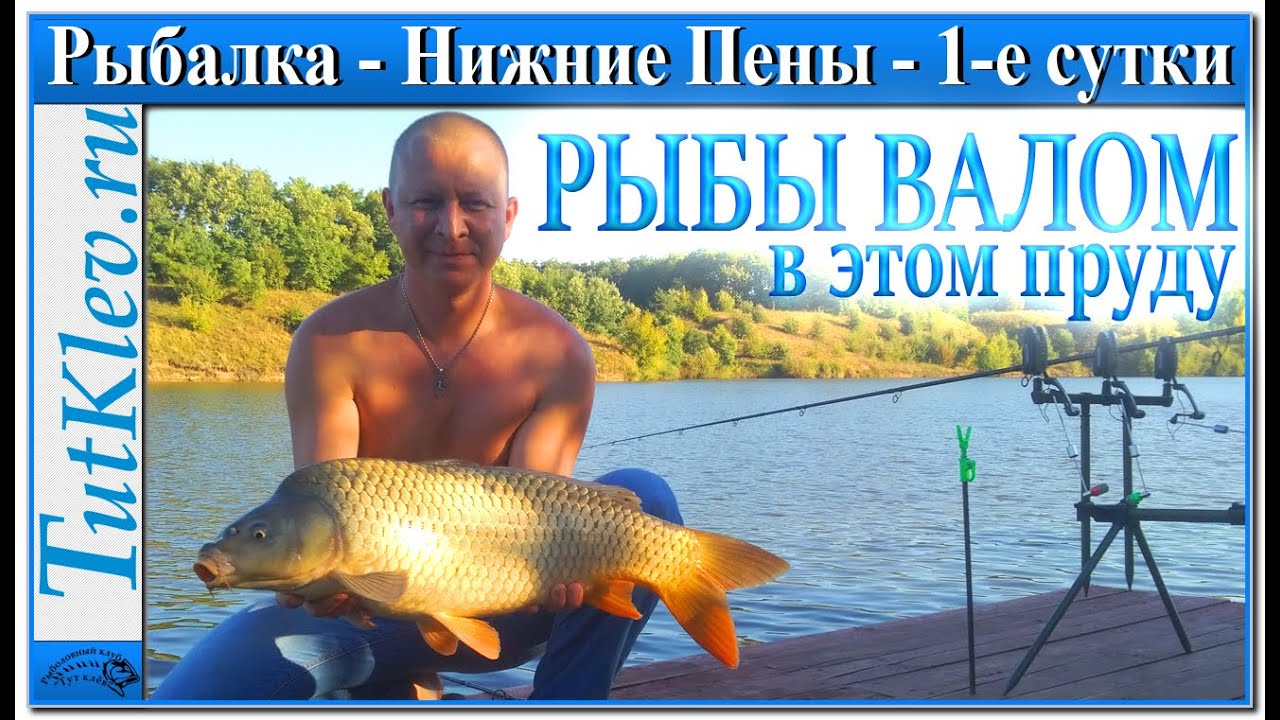 РЫБЫ ТЬМА! РЫБАЛКА! Ловля Карпа На Фидер! Нижние Пены.mp4