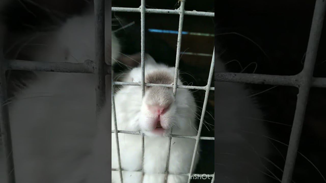 И в жару хочется кушать.