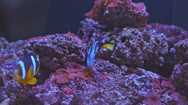 Underwater atmosphere