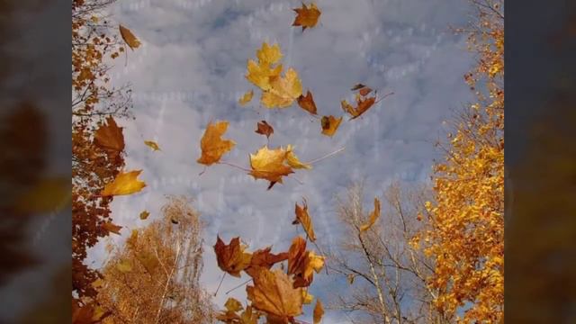 Клип на песню из к/ф "Сваты" Мой календарь