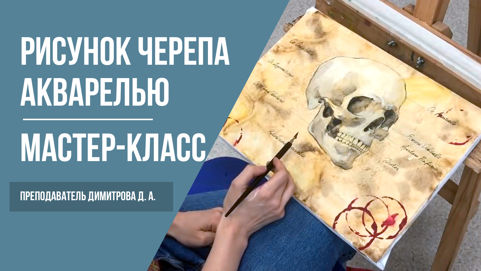 Рисование черепа · Карандаш + Акварель · Мастер-класс преподавателя Димитровой Д. А. | 16+