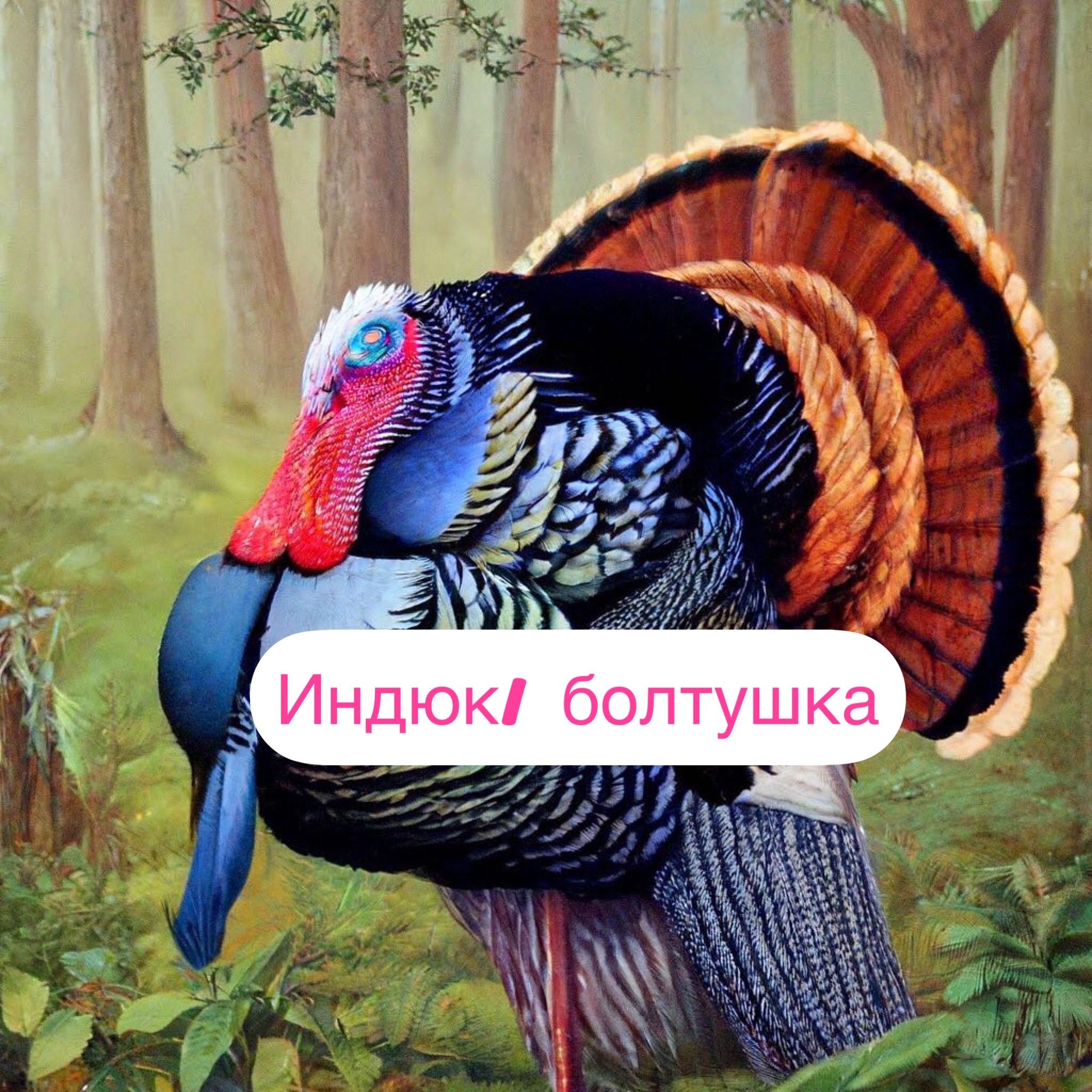 Гимнастика языка . Индюк или болтушка