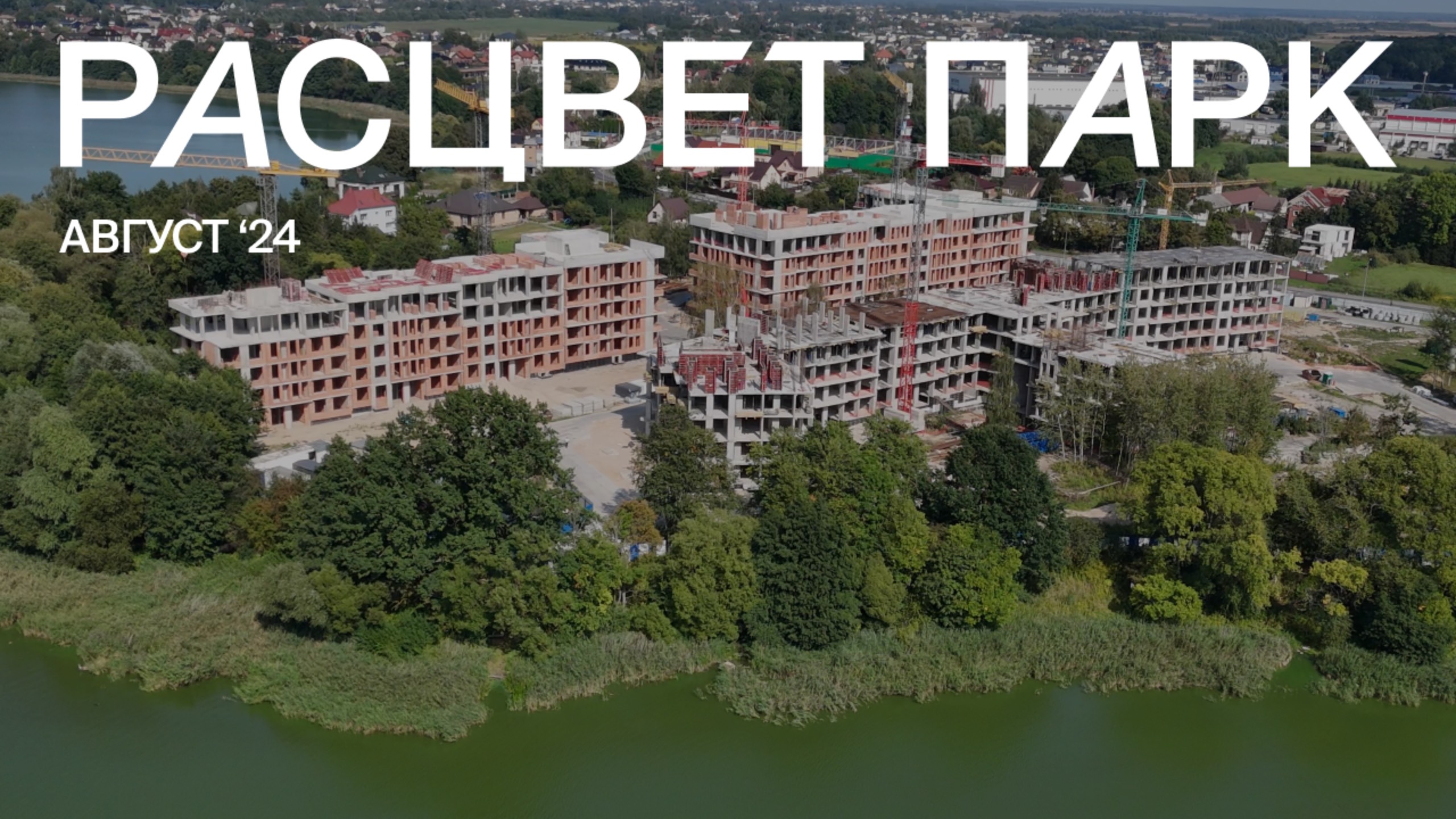 Отчет — август 2024 | Жилой комплекс РАСЦВЕТ ПАРК в Калининграде | Недвижимость в Калининграде