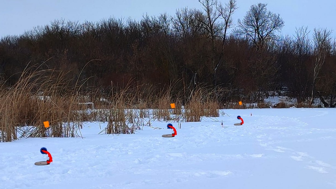 УШЛИ ЛОВИТЬ ОКУНЯ, А ТУТ ТАКОЕ НАЧАЛОСЬ!!! РЫБАЛКА НА ЖЕРЛИЦЫ 2024
