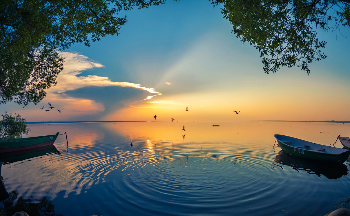 Волею судьбы