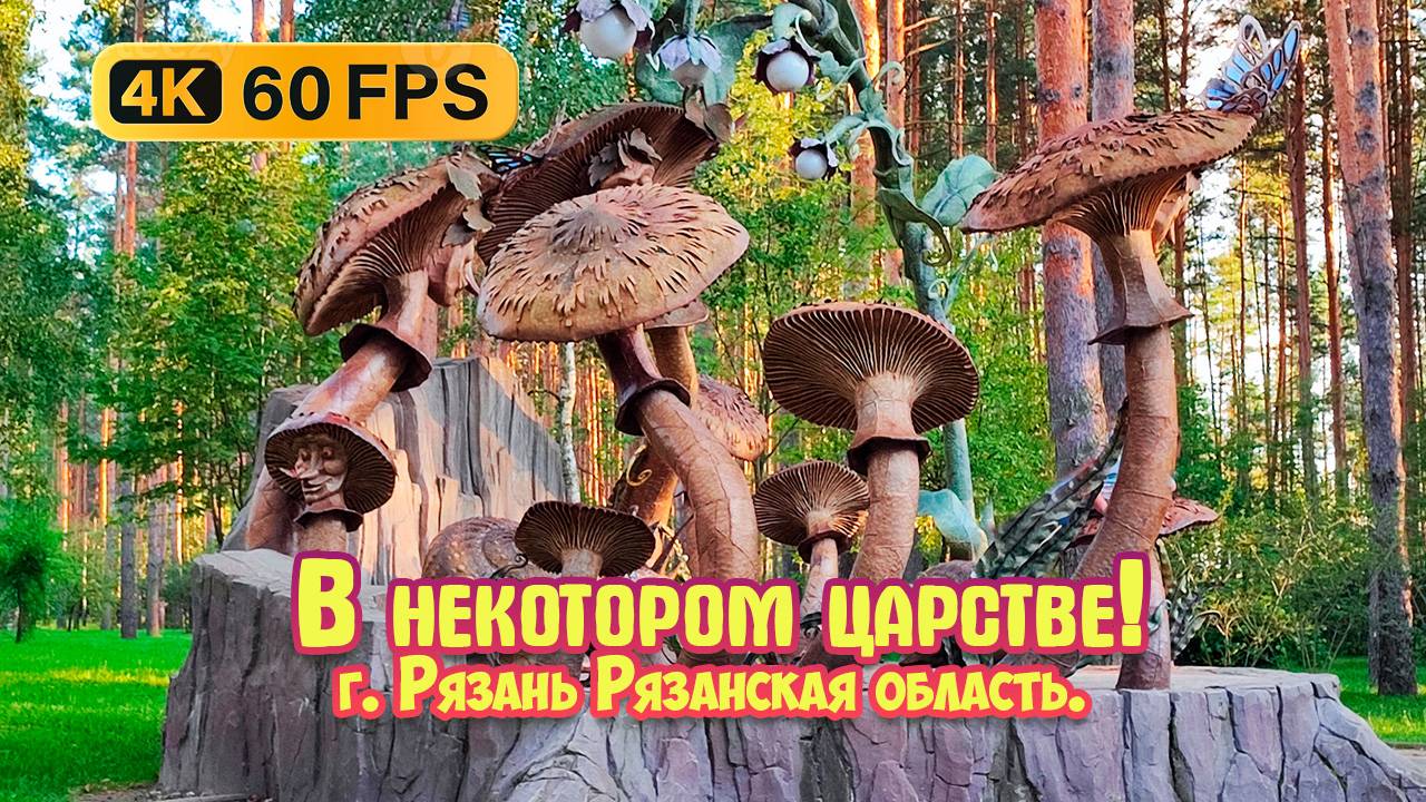 Рязань - В Некотором Царстве!