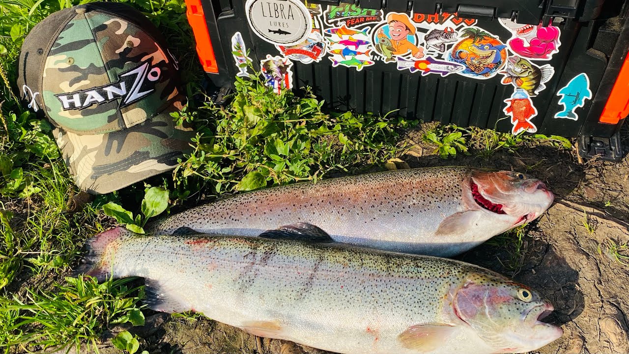 ЛОВЛЯ ФОРЕЛИ ОСЕНЬЮ Открытие форелевого сезона Ловля форели на спиннинг