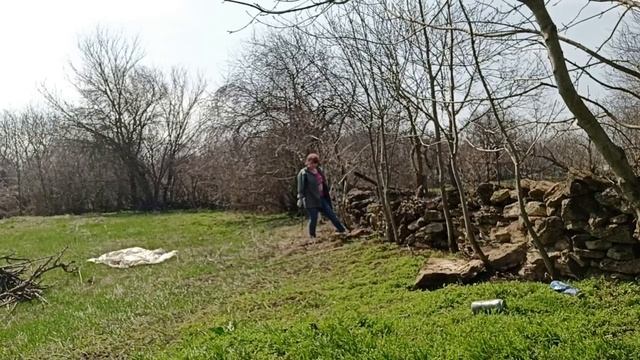 Расчищаю участок,пилю деревья.Результат работ ,в конце ролика)