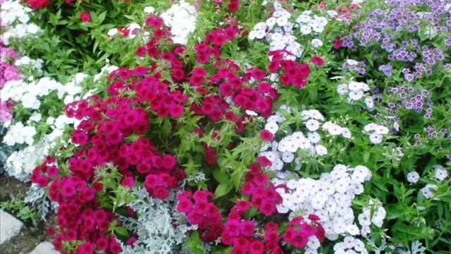 Маша в парке музее.