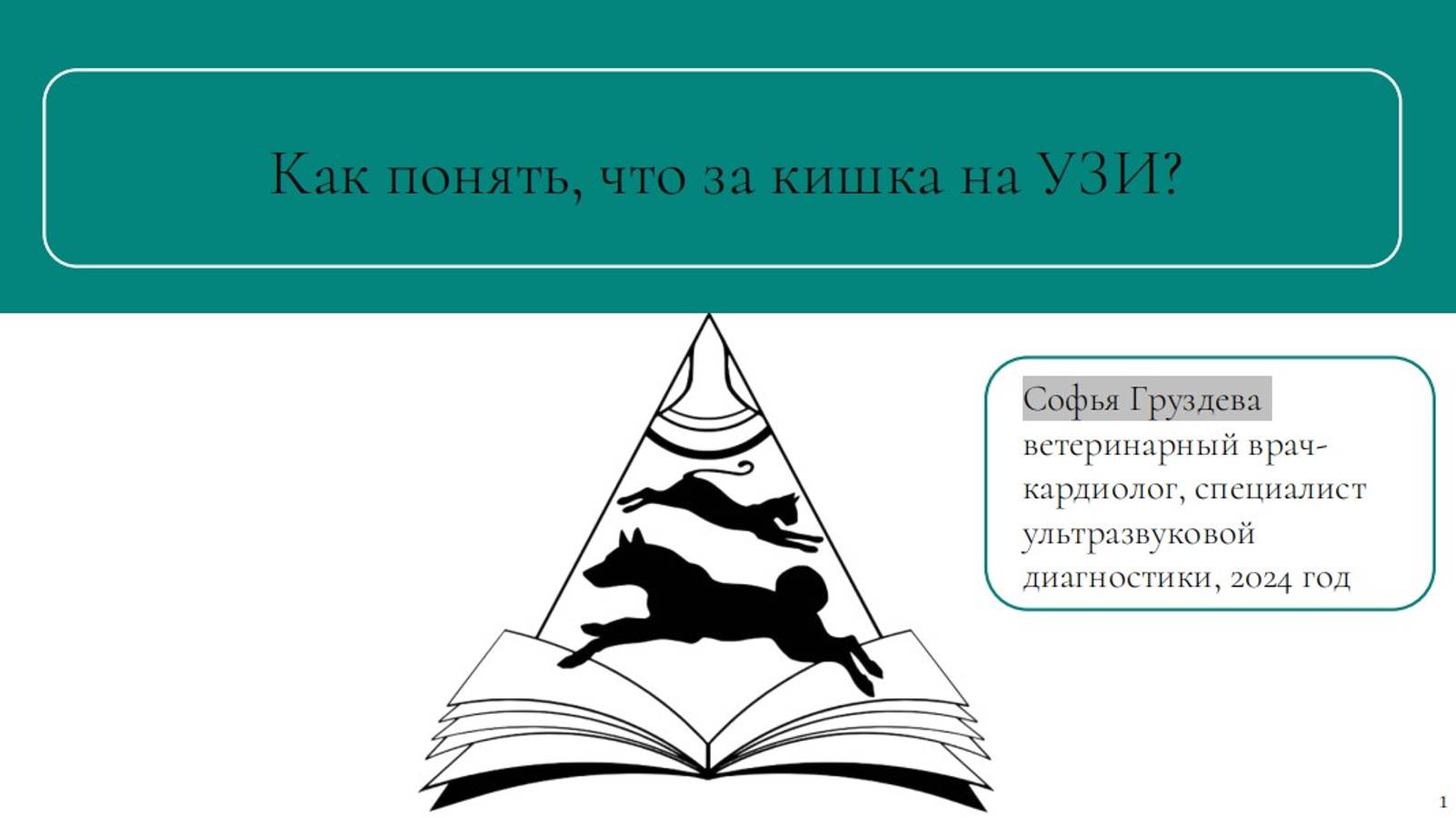 Как понять, что за кишка на УЗИ? | Запись вебинара | УЗИ собак и кошек