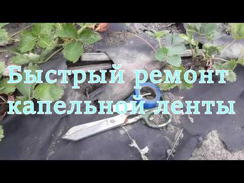 Быстрый ремонт капельной ленты или как соединить ленту между собой.
