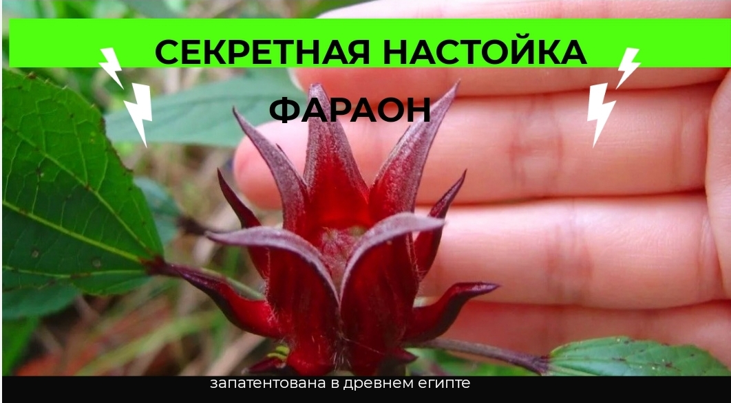 Настойка на самогоне! Эксклюзив! Древний секретный рецепт!