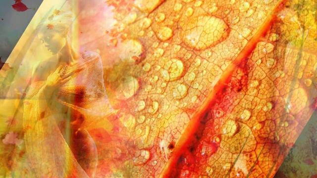 Сорвался с ветки жёлтый лист