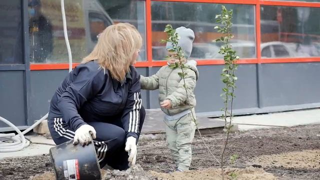 Посадка саженцев в ЖК "За ручьём" | Июнь 2020