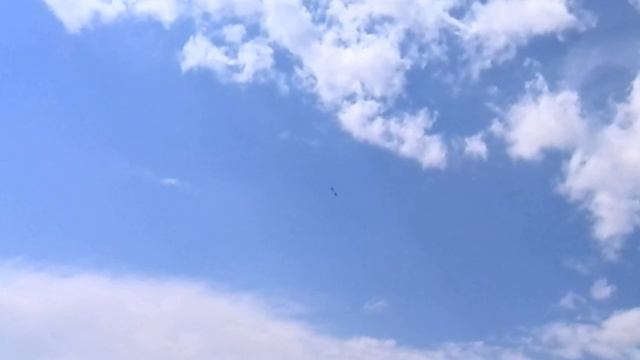 Миги прилетели. mp4